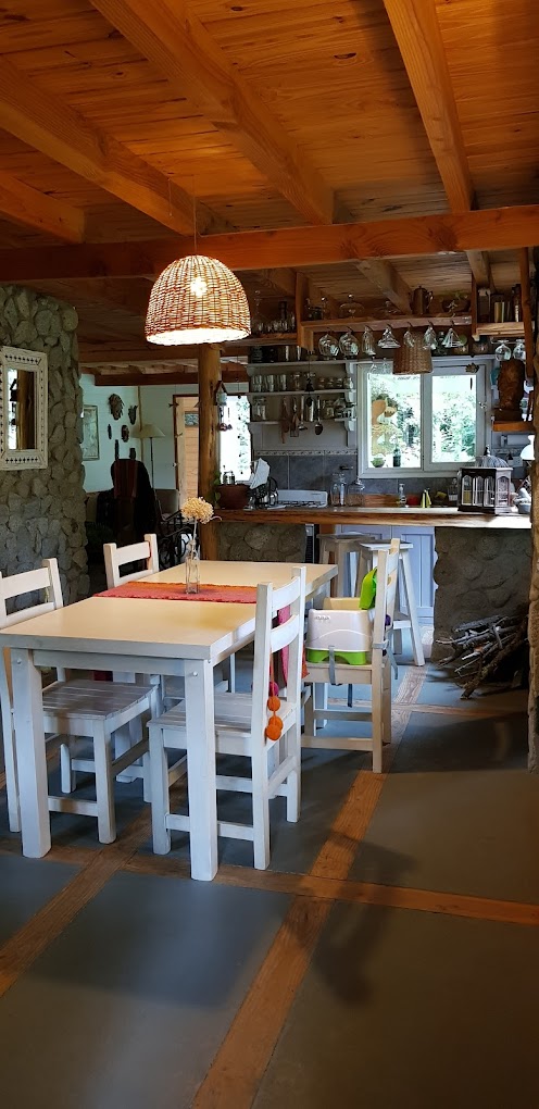 DODO HOUSE - Turismo Neuquen