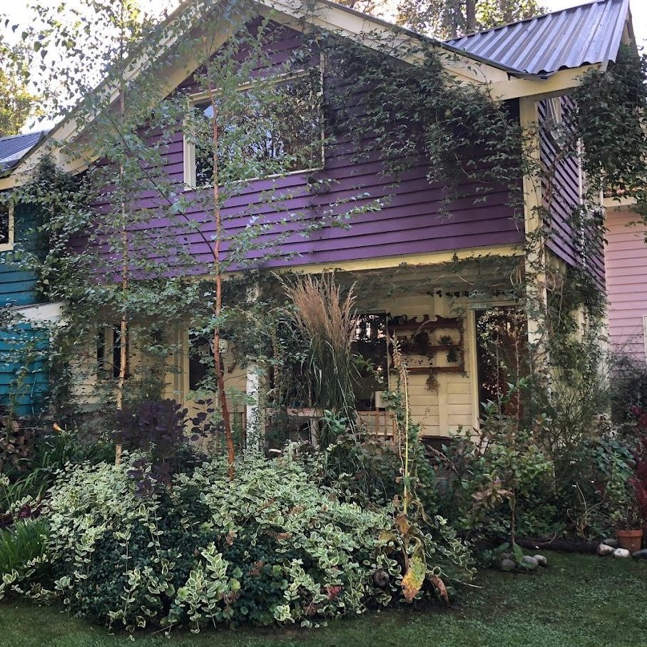 DODO HOUSE - Turismo Neuquen